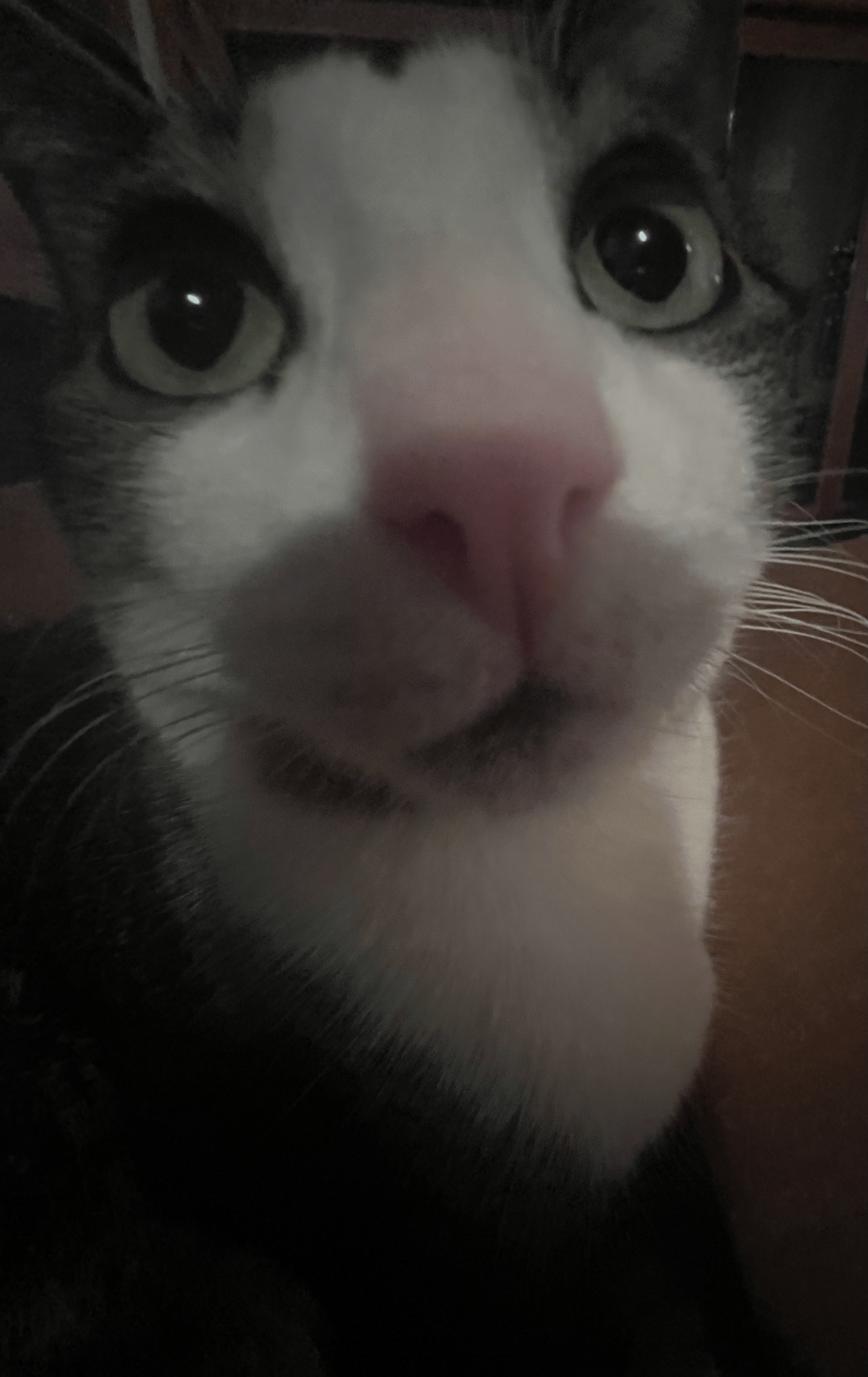 David Owen Horace Cutler | Mathematics