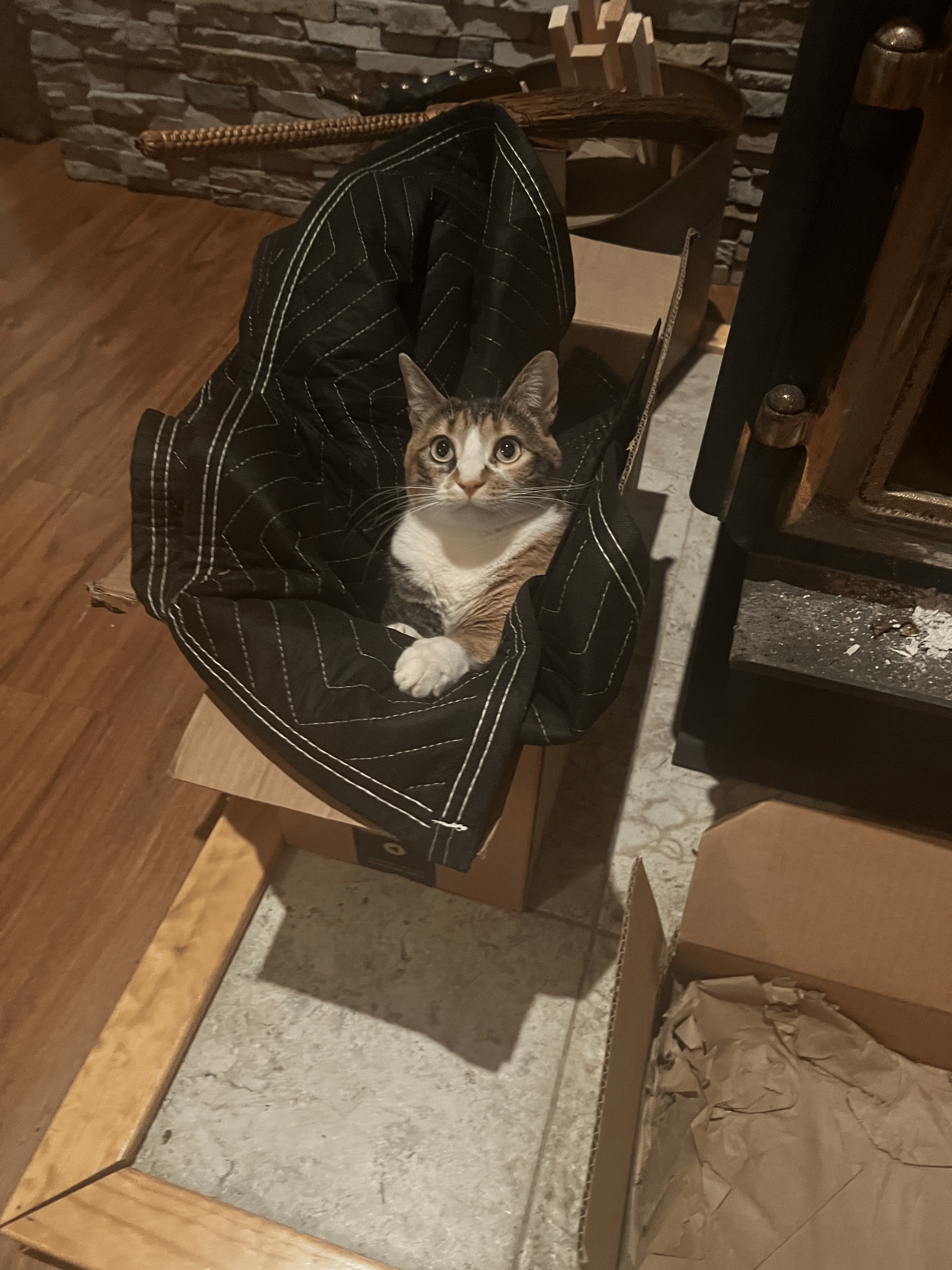 David Owen Horace Cutler | Mathematics